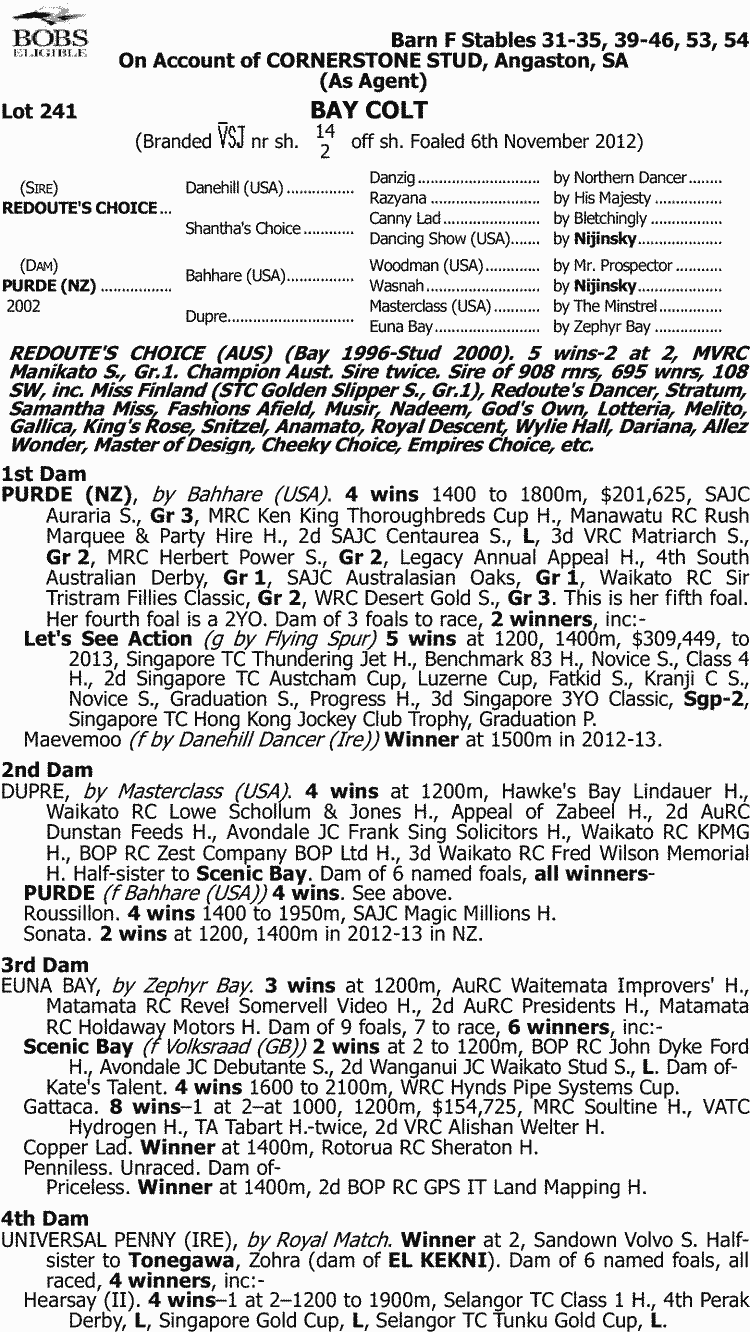 Napoleon's War Thoroughbred Horse Profile - Next Race, Form, Stats ...