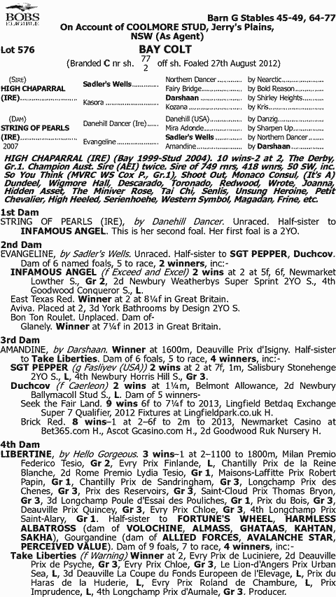 High Rolla Thoroughbred Horse Profile - Next Race, Form, Stats, News ...