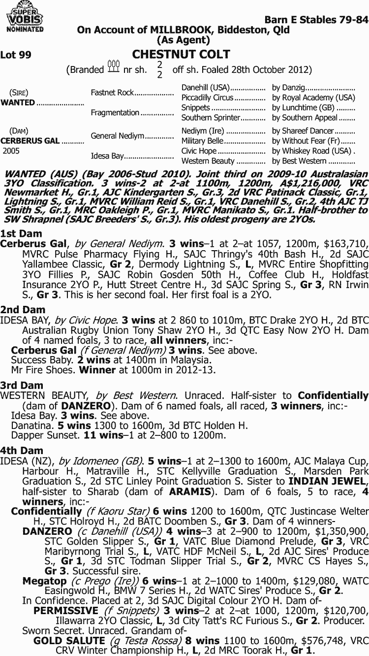 Wanted Trio Thoroughbred Horse Profile - Next Race, Form, Stats, News ...