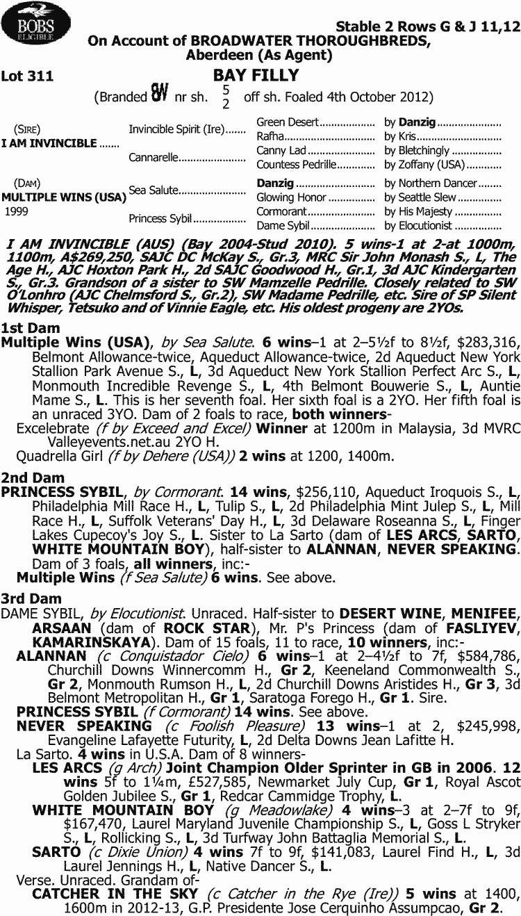 Kitty Leroy Thoroughbred Horse Profile - Next Race, Form, Stats, News ...