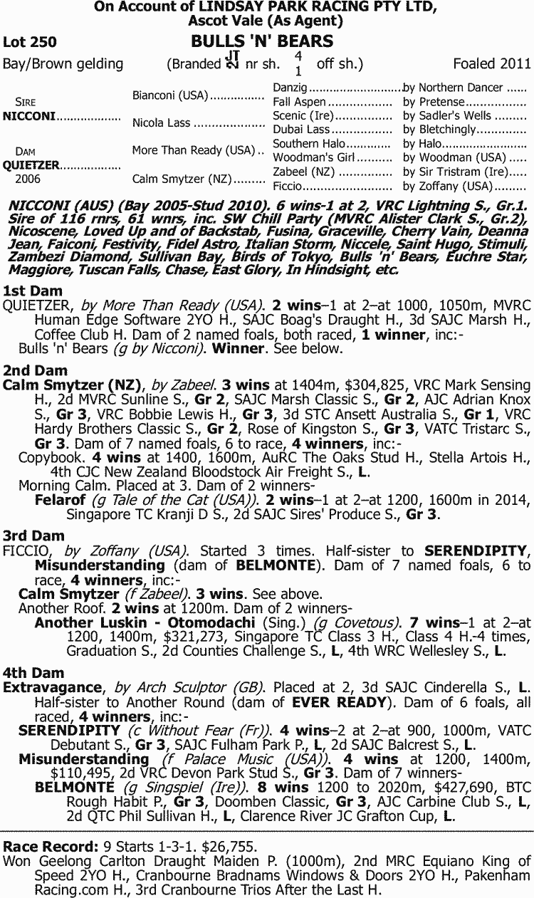 Bulls 'N' Bears Thoroughbred Horse Profile - Next Race, Form, Stats ...