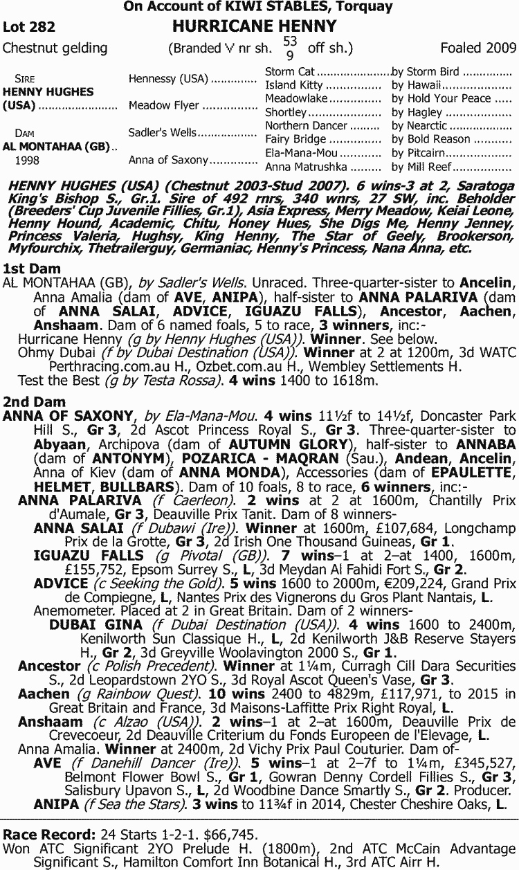 Hurricane Henny Thoroughbred Horse Profile - Next Race, Form, Stats ...