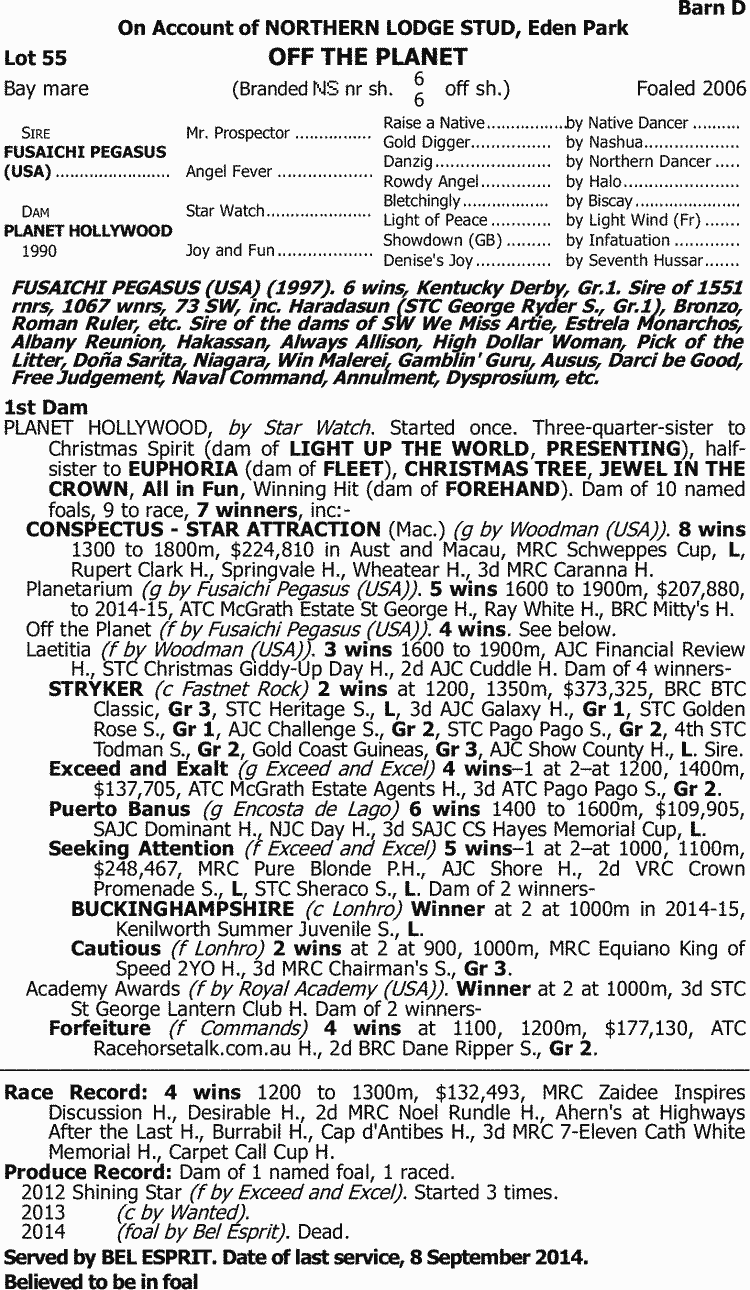 Off The Planet Thoroughbred Horse Profile - Next Race, Form, Stats ...