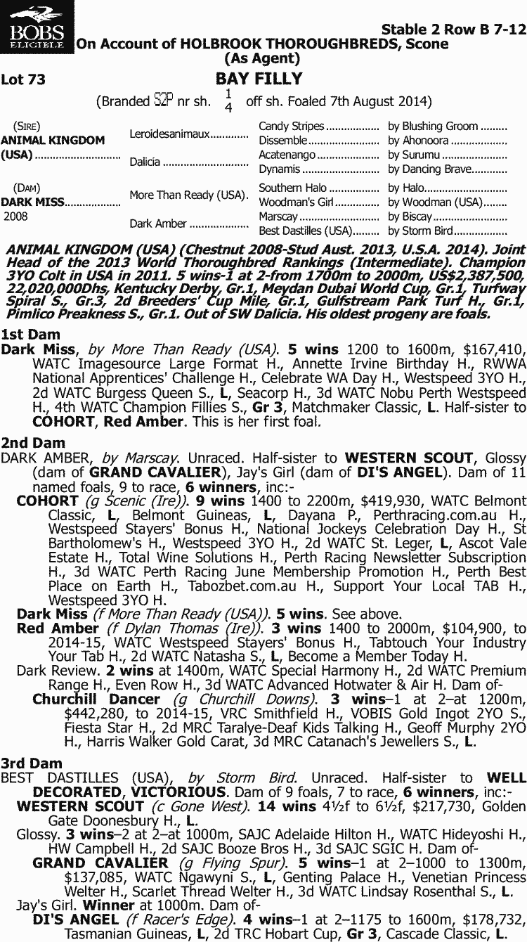 Woodman's Doll Thoroughbred Horse Profile - Next Race, Form, Stats ...