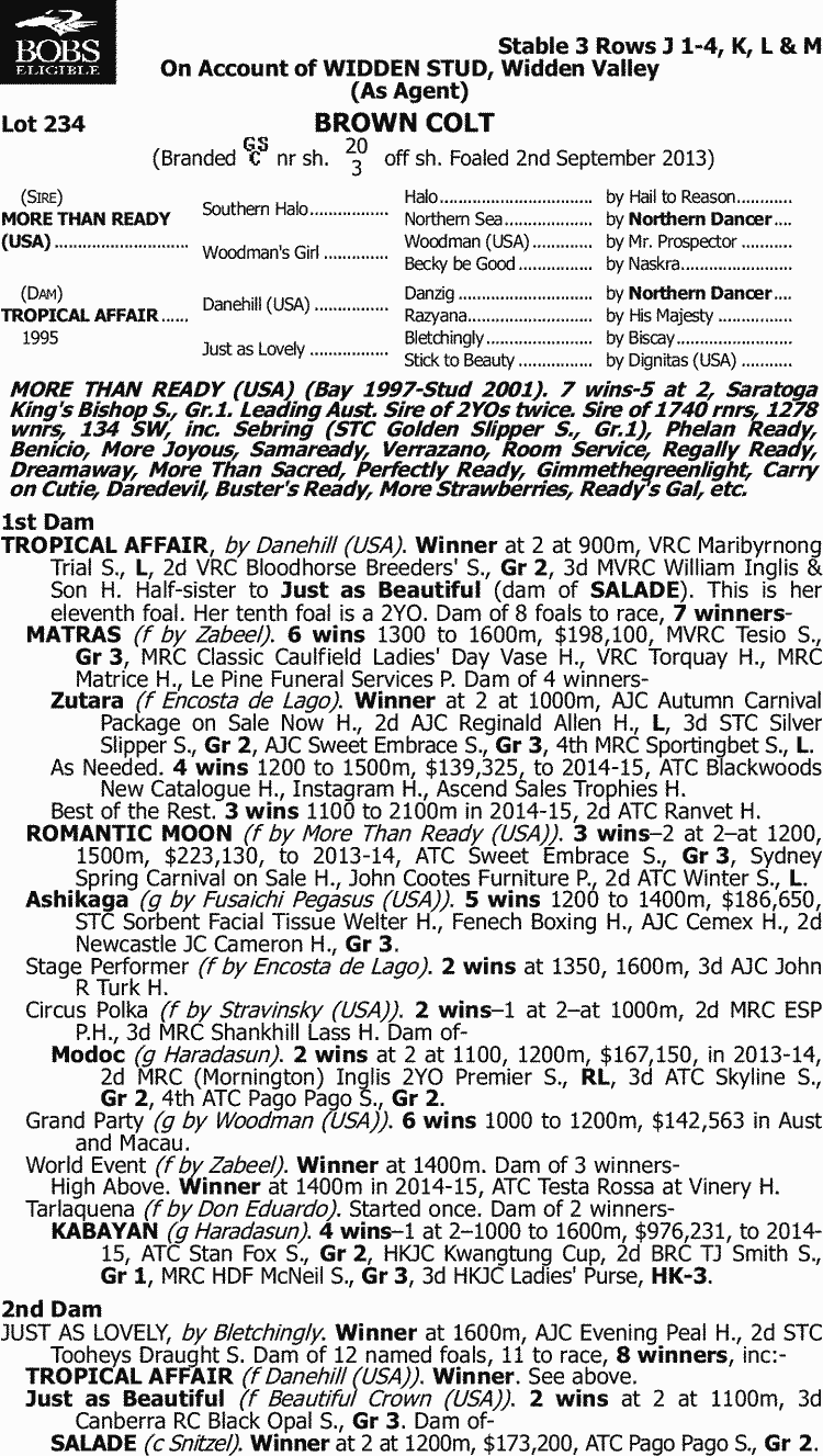 Prized Icon Thoroughbred Horse Profile - Next Race, Form, Stats, News ...