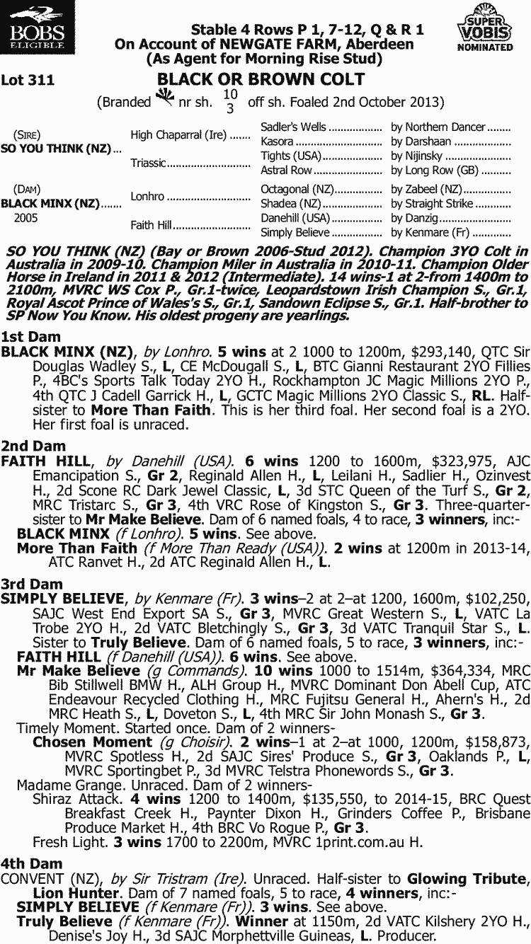 So Si Bon Thoroughbred Horse Profile - Next Race, Form, Stats, News ...