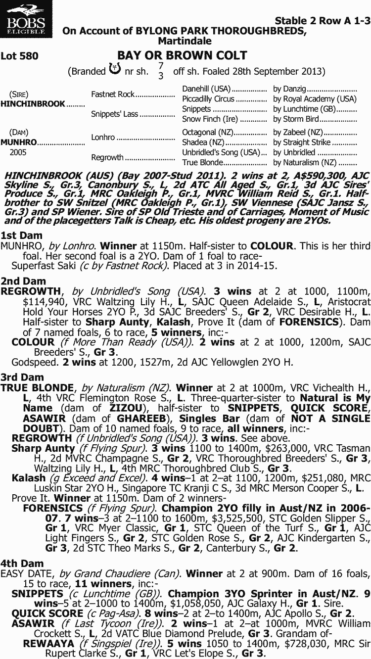 Derryn Thoroughbred Horse Profile - Next Race, Form, Stats, News ...