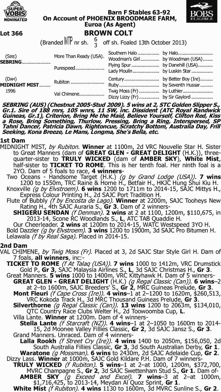 Misty Sea Thoroughbred Horse Profile - Next Race, Form, Stats, News ...
