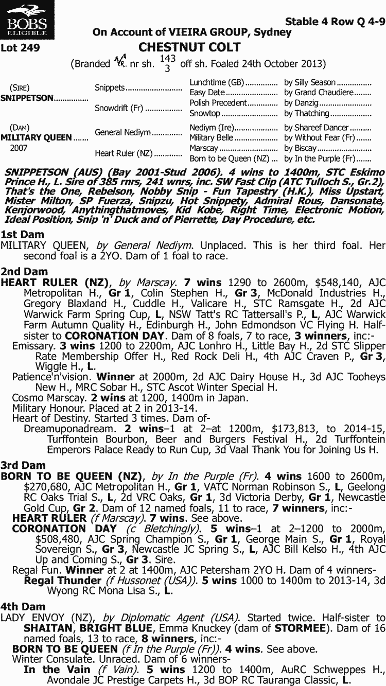 Lennox Road Thoroughbred Horse Profile - Next Race, Form, Stats, News ...