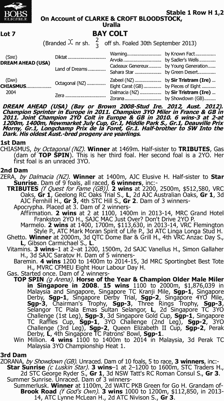 Turf Tapper Thoroughbred Horse Profile - Next Race, Form, Stats, News ...