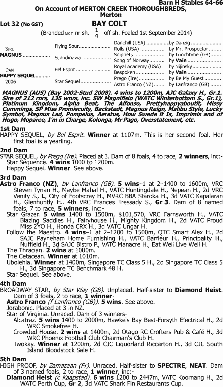 Magnorum Thoroughbred Horse Profile - Next Race, Form, Stats, News ...