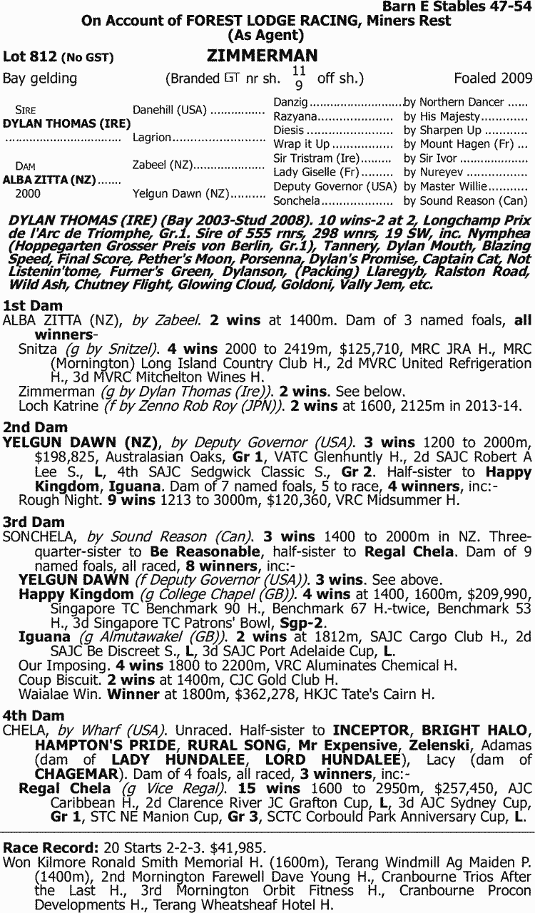 Zimmerman Thoroughbred Horse Profile - Next Race, Form, Stats, News ...