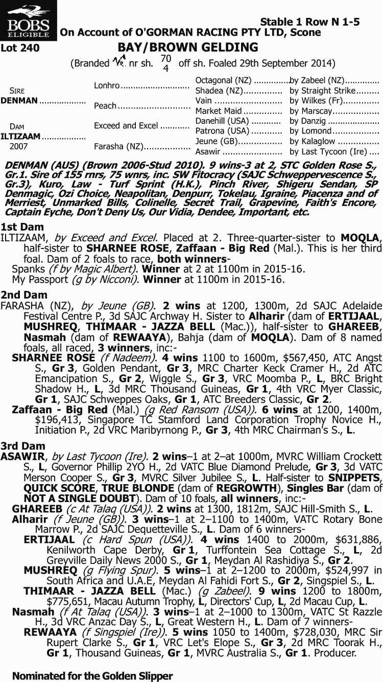 Lonhro Gold Thoroughbred Horse Profile - Next Race, Form, Stats, News ...