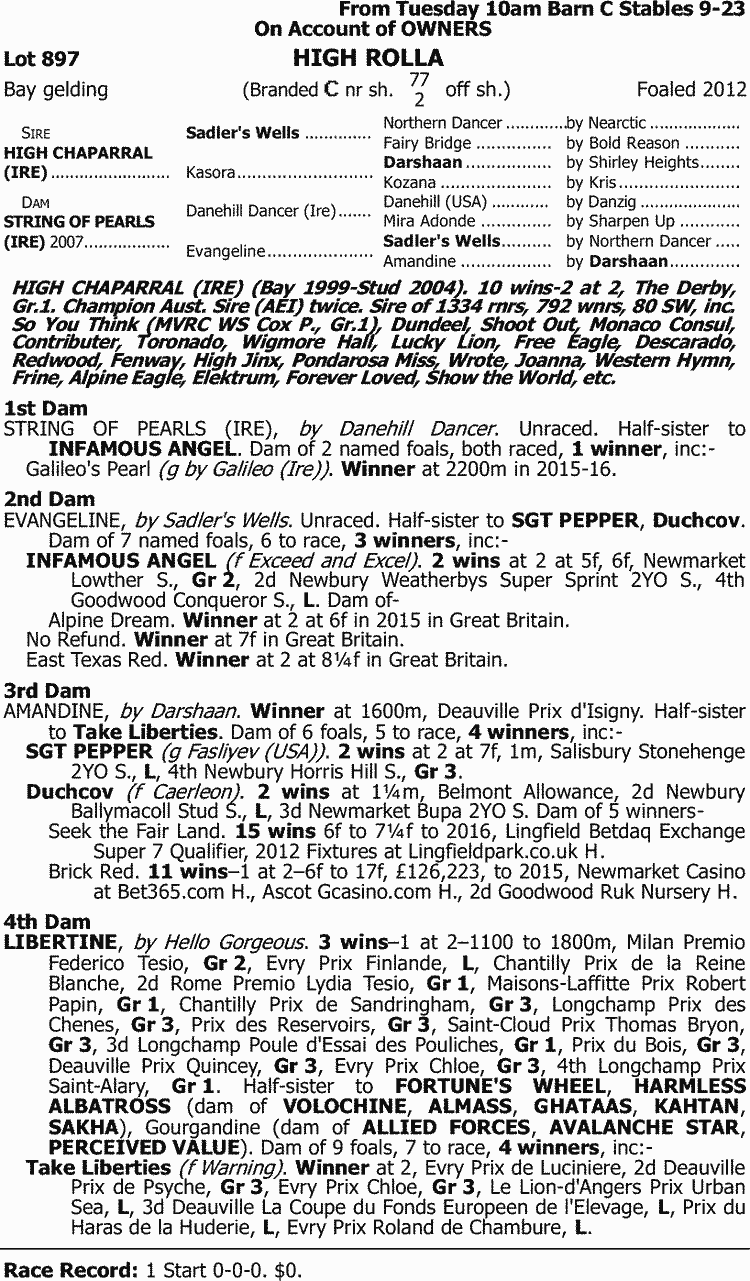 High Rolla Thoroughbred Horse Profile - Next Race, Form, Stats, News ...