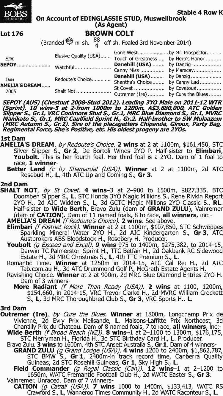 Impasse Thoroughbred Horse Profile - Next Race, Form, Stats, News ...