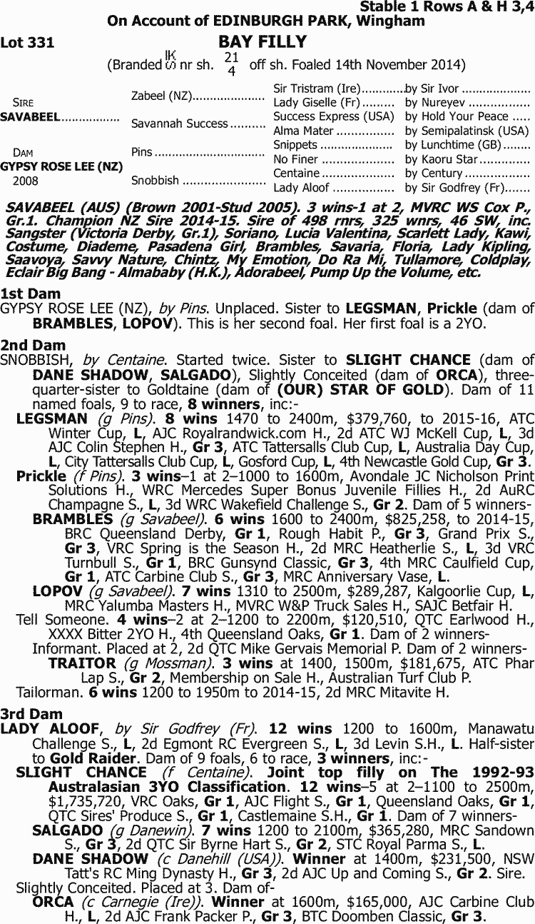 Screaming Mimi Thoroughbred Horse Profile - Next Race, Form, Stats ...