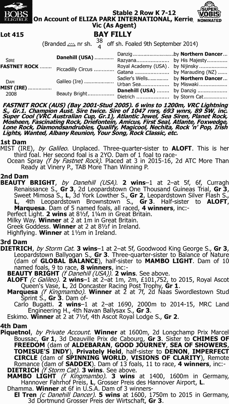 Misty Rock Thoroughbred Horse Profile - Next Race, Form, Stats, News ...