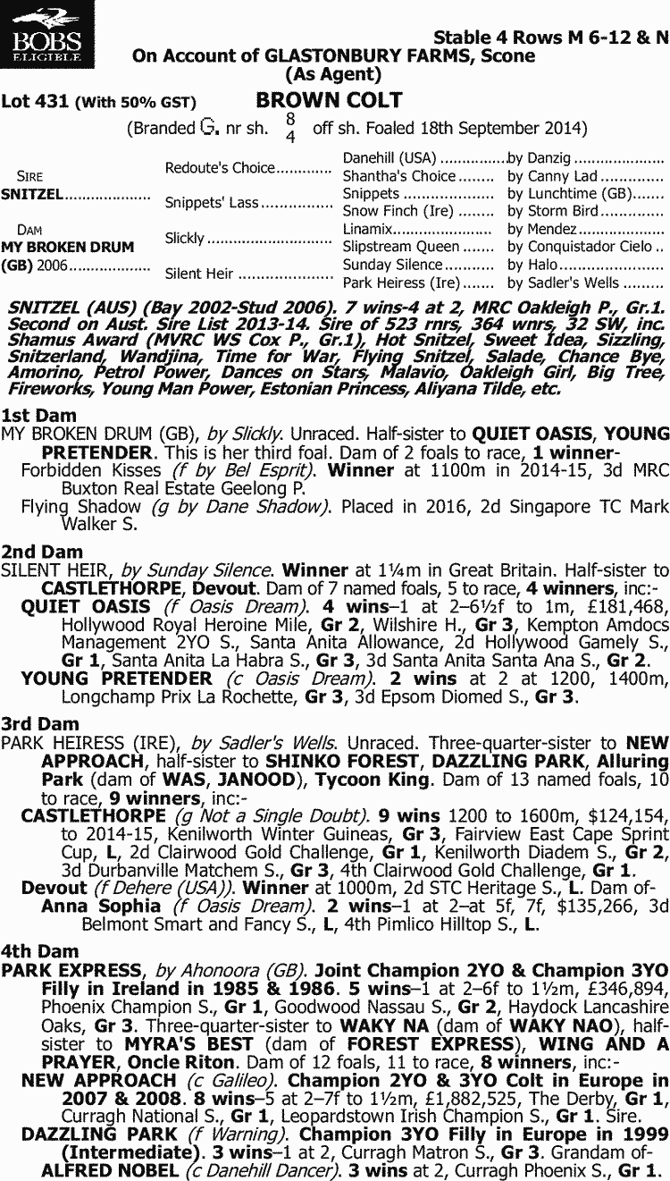 Elusive Bolt Thoroughbred Horse Profile - Next Race, Form, Stats, News ...