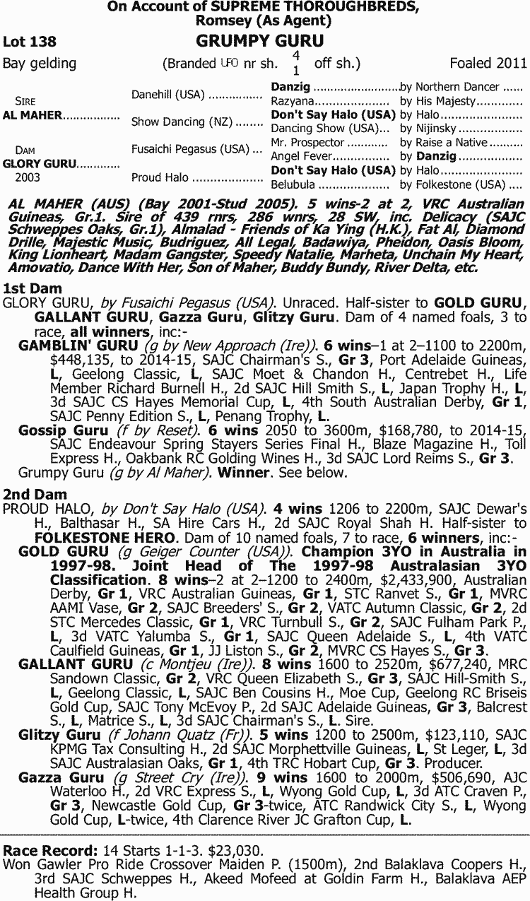 Grumpy Guru Thoroughbred Horse Profile - Next Race, Form, Stats, News ...