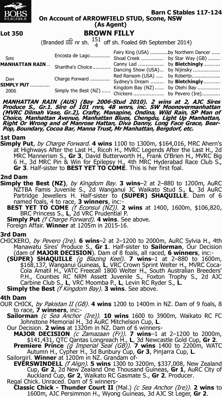 Splash Headline Thoroughbred Horse Profile - Next Race, Form, Stats ...