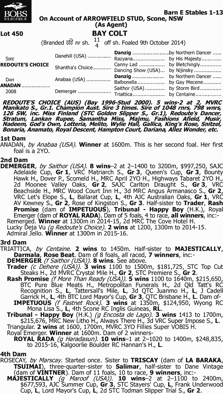 Misty Lad Thoroughbred Horse Profile - Next Race, Form, Stats, News ...