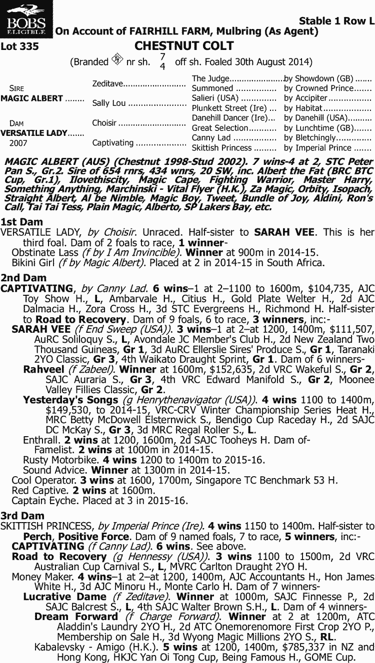 Raul Thoroughbred Horse Profile - Next Race, Form, Stats, News ...