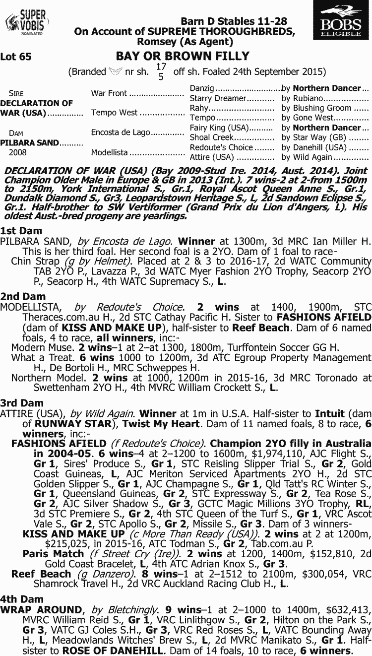 Broken Treaty Thoroughbred Horse Profile - Next Race, Form, Stats, News ...