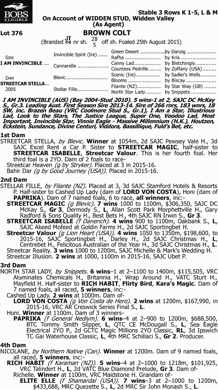 Belle Reve Thoroughbred Horse Profile - Next Race, Form, Stats, News ...