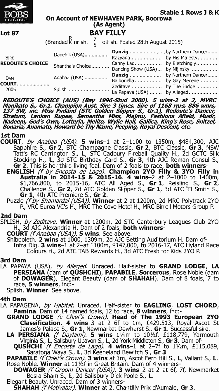 Al Naifa Thoroughbred Horse Profile - Next Race, Form, Stats, News ...