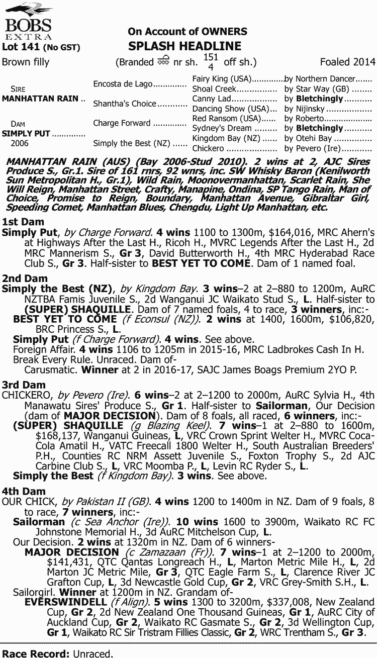 Splash Headline Thoroughbred Horse Profile - Next Race, Form, Stats ...