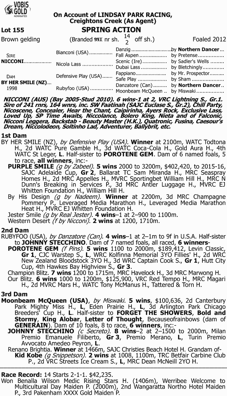 Spring Action Thoroughbred Horse Profile - Next Race, Form, Stats, News ...