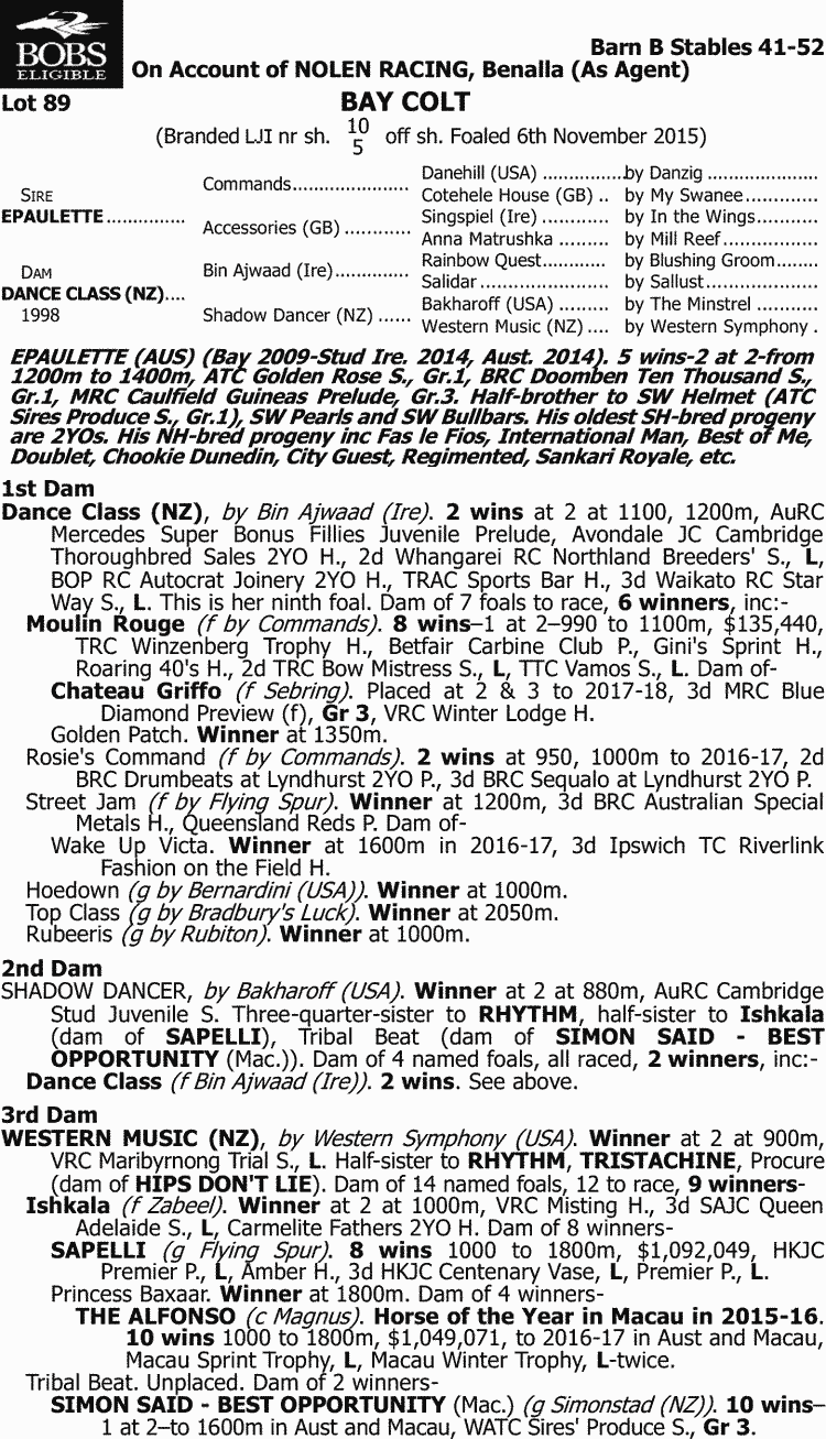 Epaulette Prince Thoroughbred Horse Profile - Next Race, Form, Stats ...