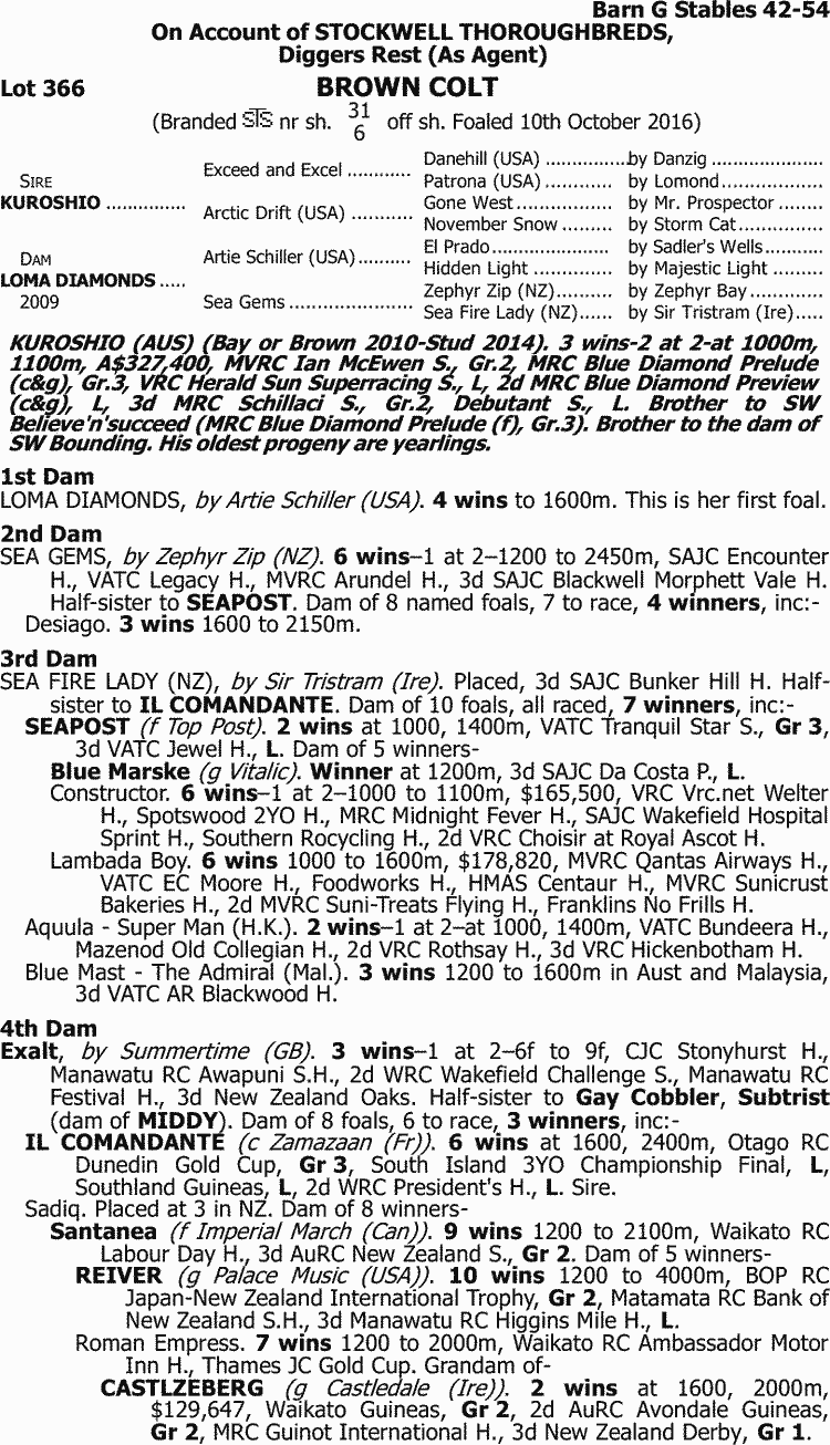 Qiji Diamond Thoroughbred Horse Profile - Next Race, Form, Stats, News ...