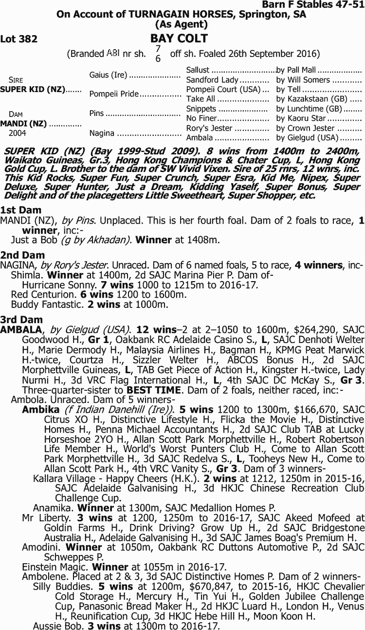 Rex Rocks Thoroughbred Horse Profile - Next Race, Form, Stats, News ...
