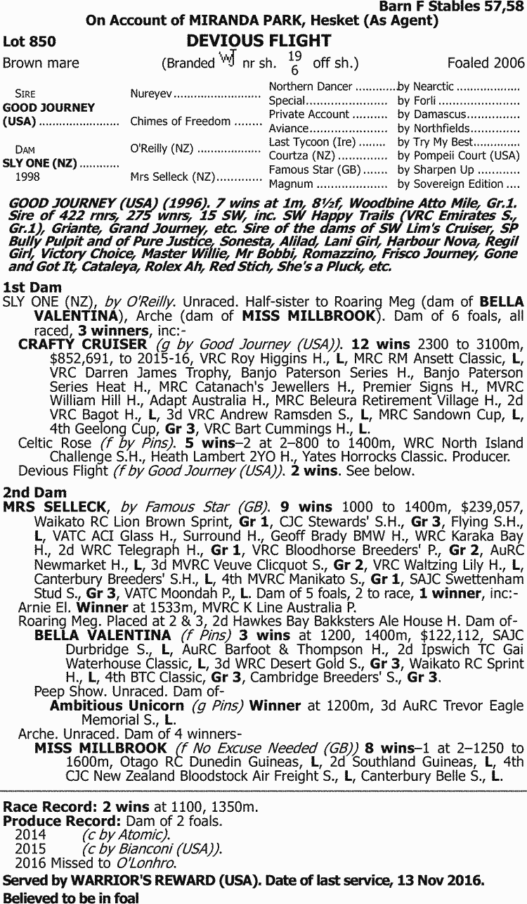 Devious Flight Thoroughbred Horse Profile - Next Race, Form, Stats ...