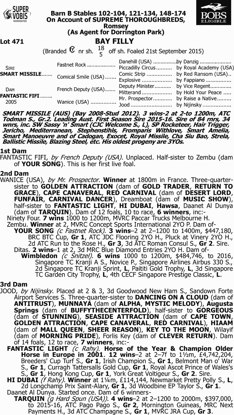 Disenchanted Thoroughbred Horse Profile - Next Race, Form, Stats, News ...