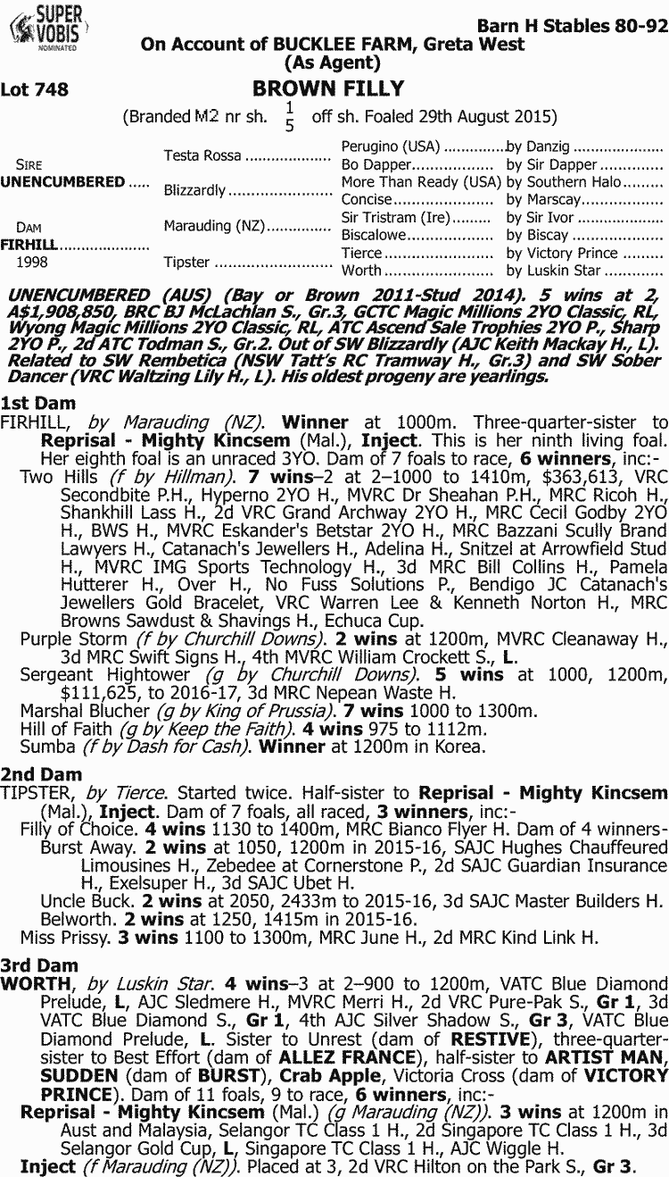 Mrs Hardwick Thoroughbred Horse Profile - Next Race, Form, Stats, News ...