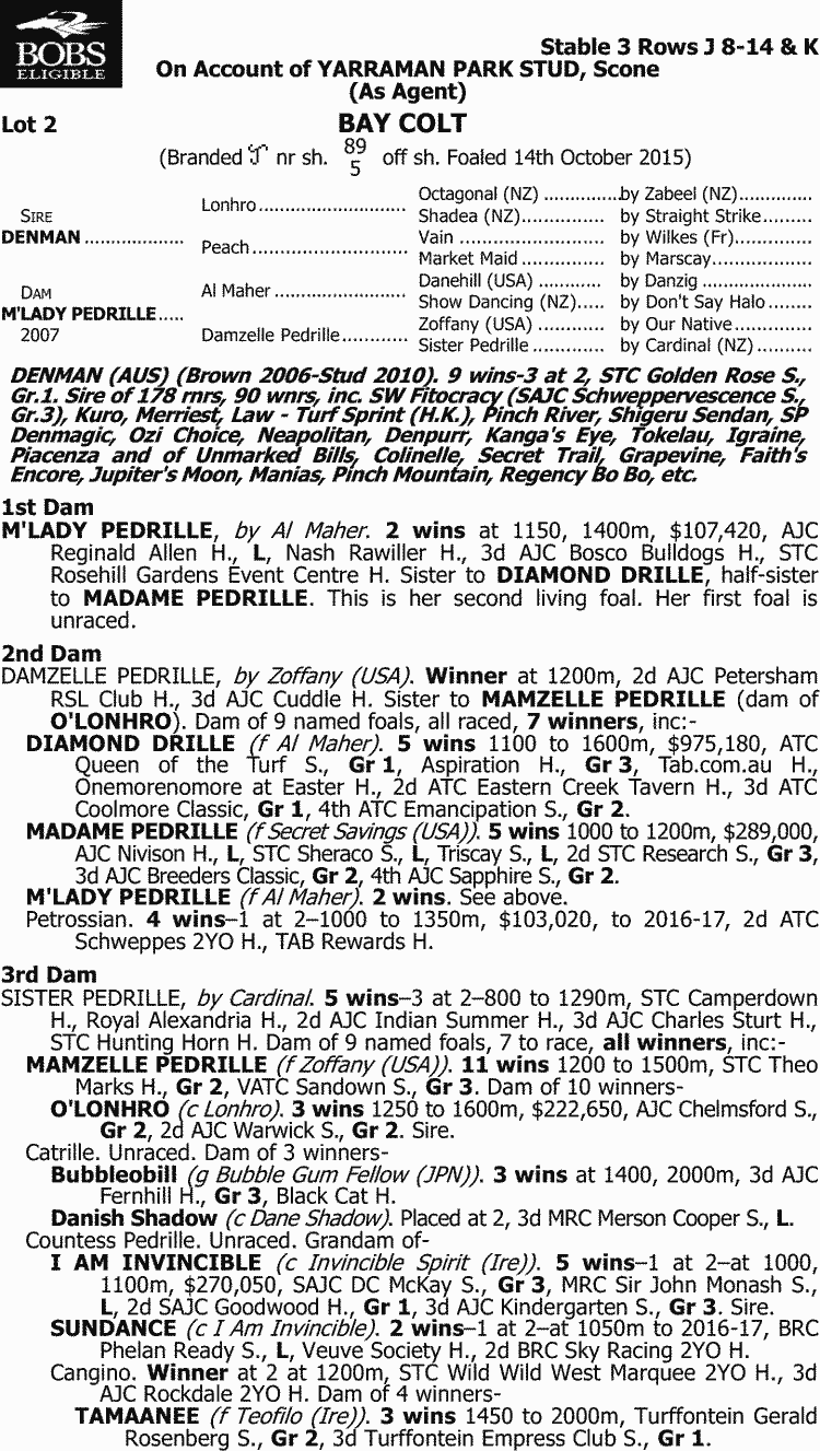 Ragged Rascal Thoroughbred Horse Profile - Next Race, Form, Stats, News ...