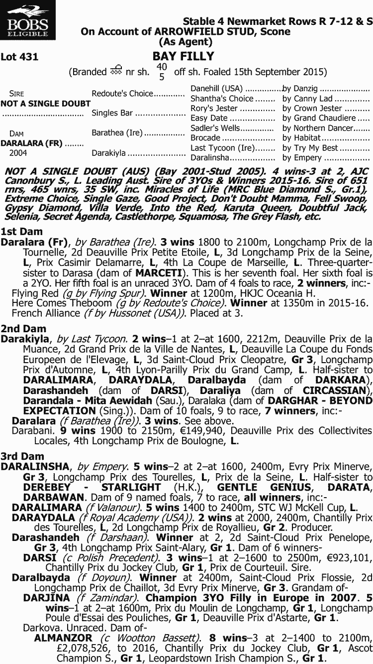 Don't Doubt Lara Thoroughbred Horse Profile - Next Race, Form, Stats ...