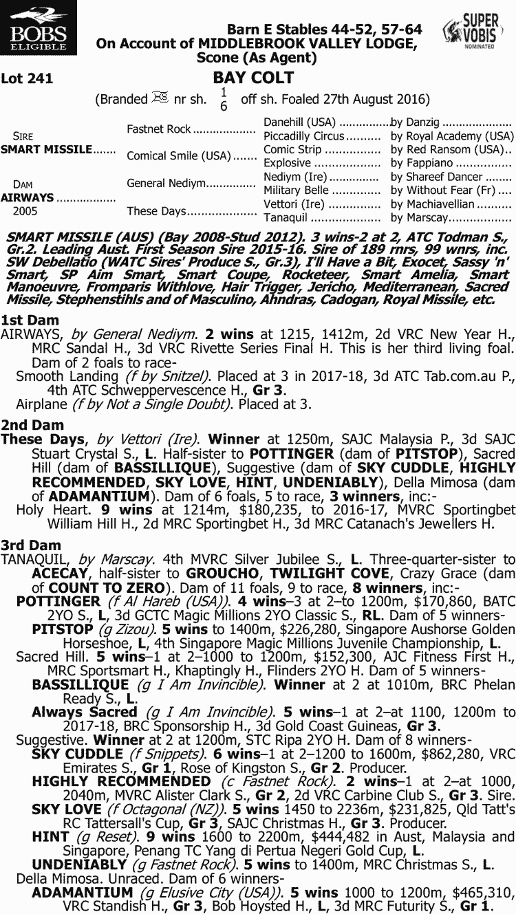 Standing Bear Thoroughbred Horse Profile - Next Race, Form, Stats, News ...