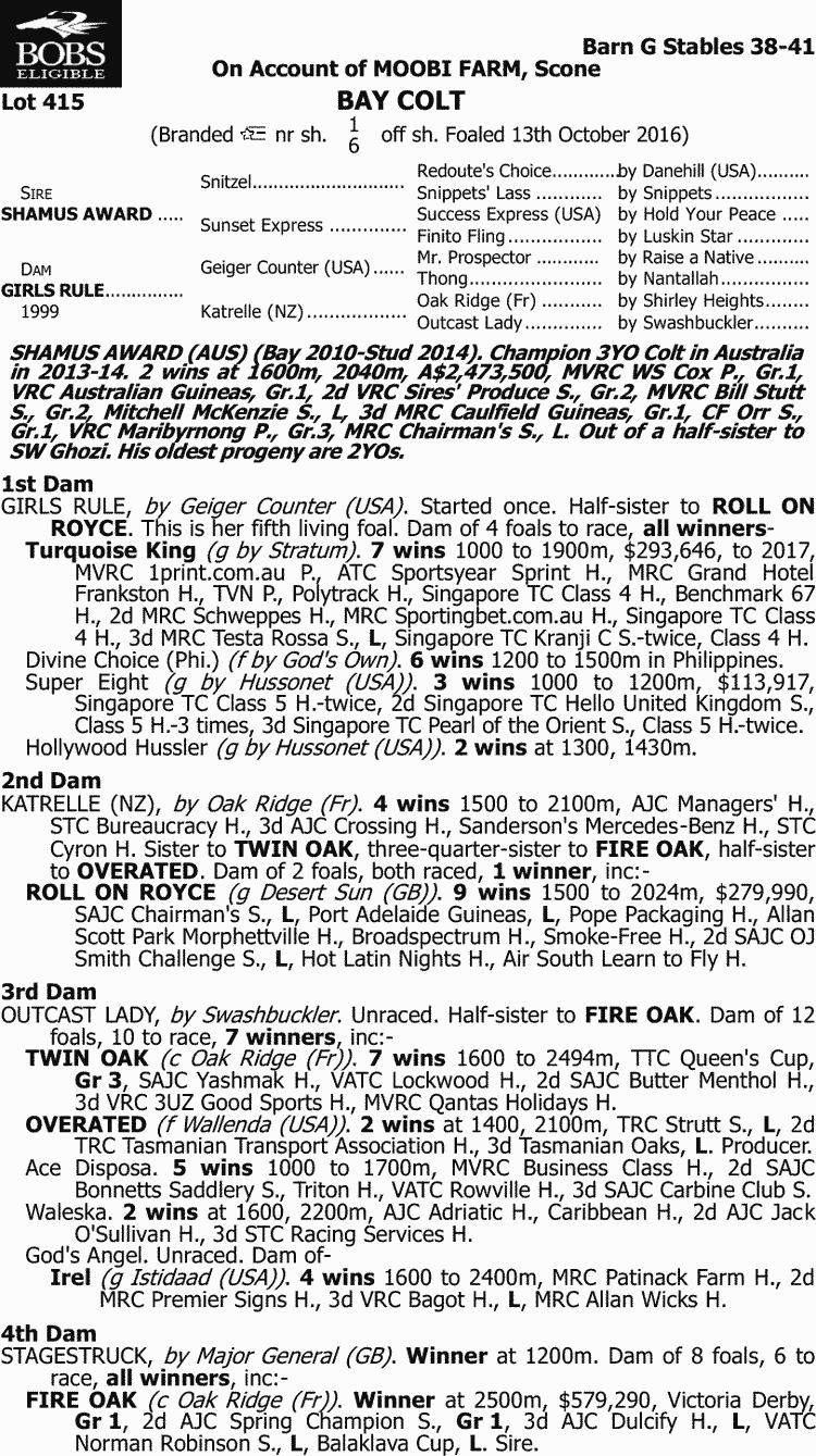 True Detective Thoroughbred Horse Profile - Next Race, Form, Stats ...