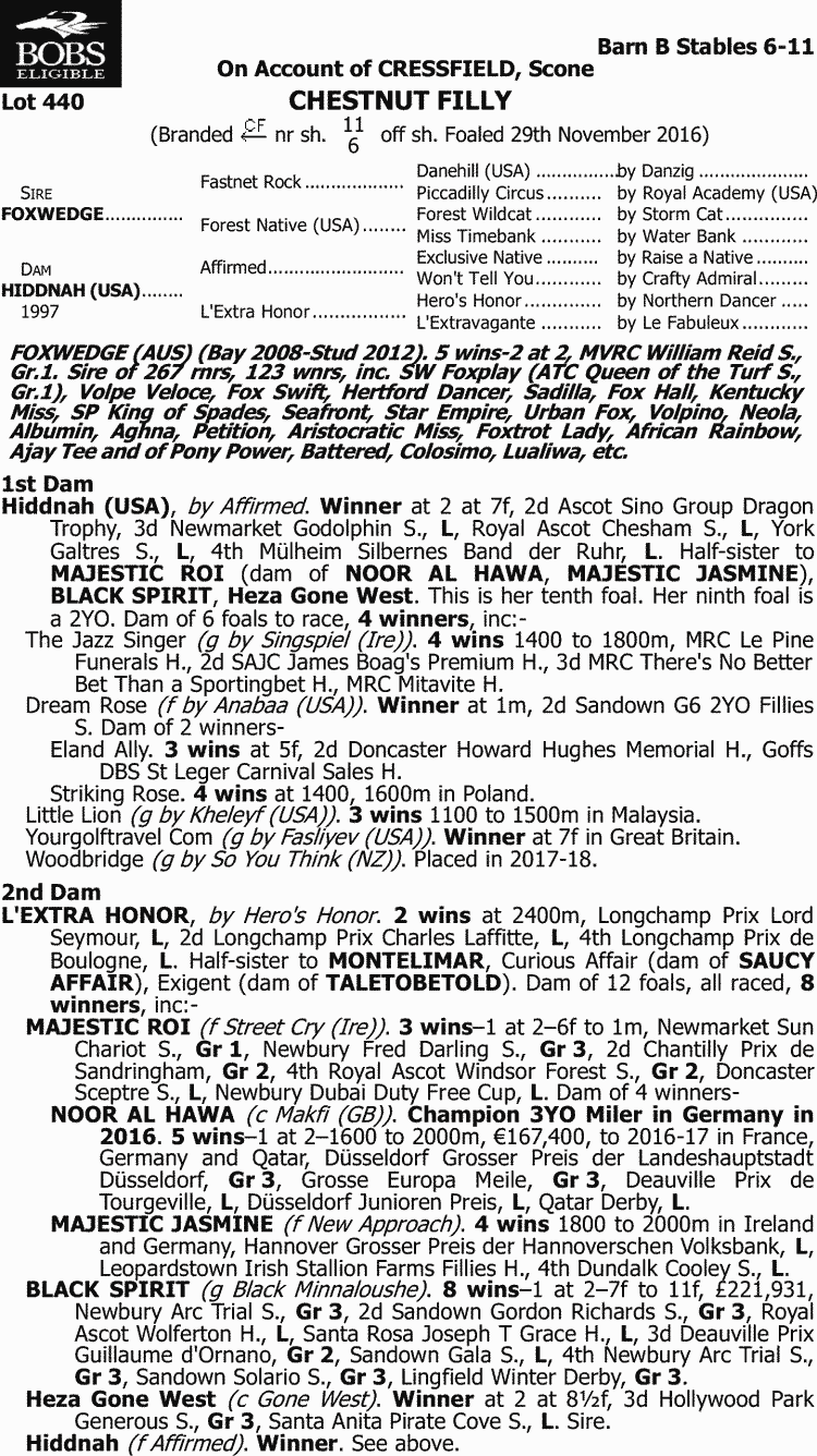 Debt'n'deficit Thoroughbred Horse Profile - Next Race, Form, Stats ...