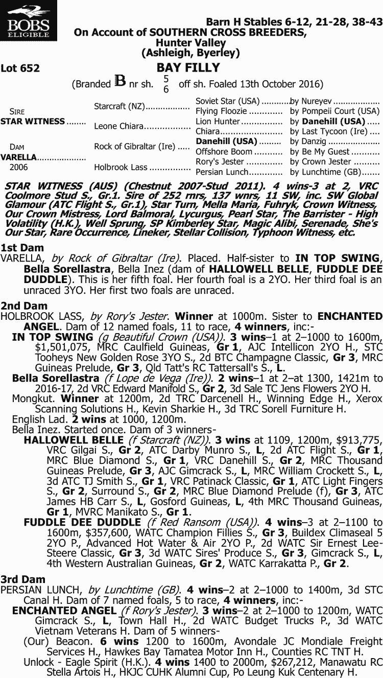 Troodles Thoroughbred Horse Profile - Next Race, Form, Stats, News ...