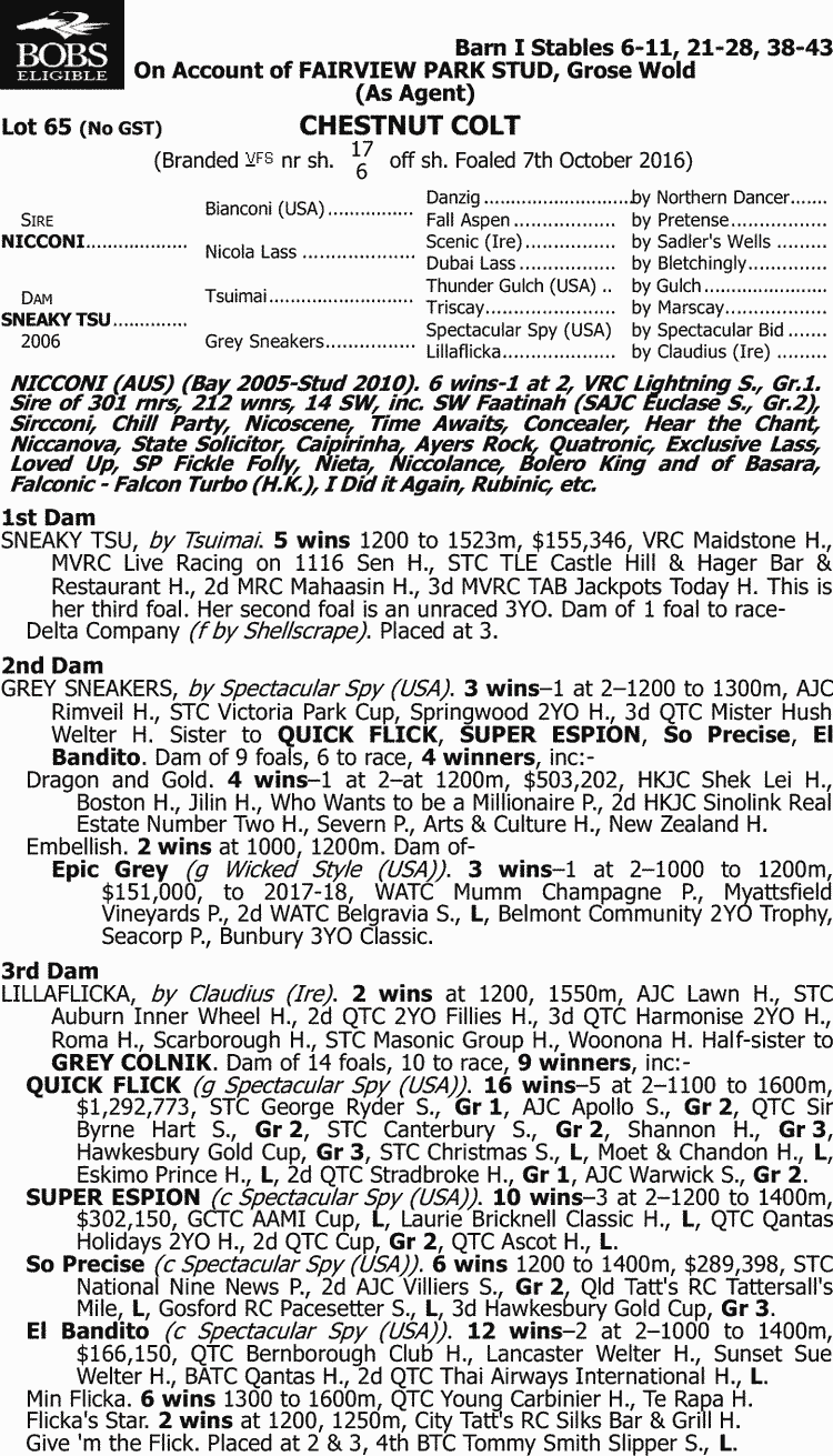 Joyful Fortune Thoroughbred Horse Profile - Next Race, Form, Stats ...