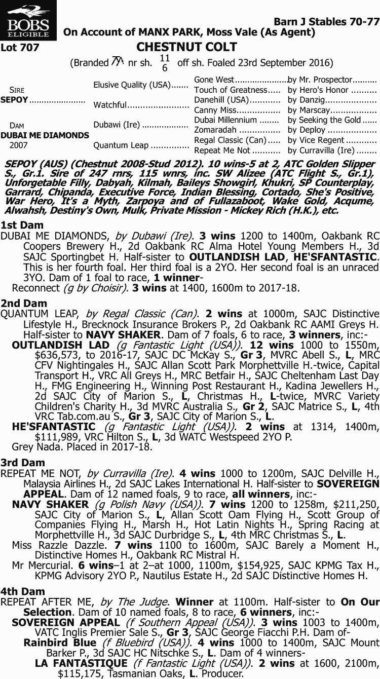 Sowar Thoroughbred Horse Profile - Next Race, Form, Stats, News ...