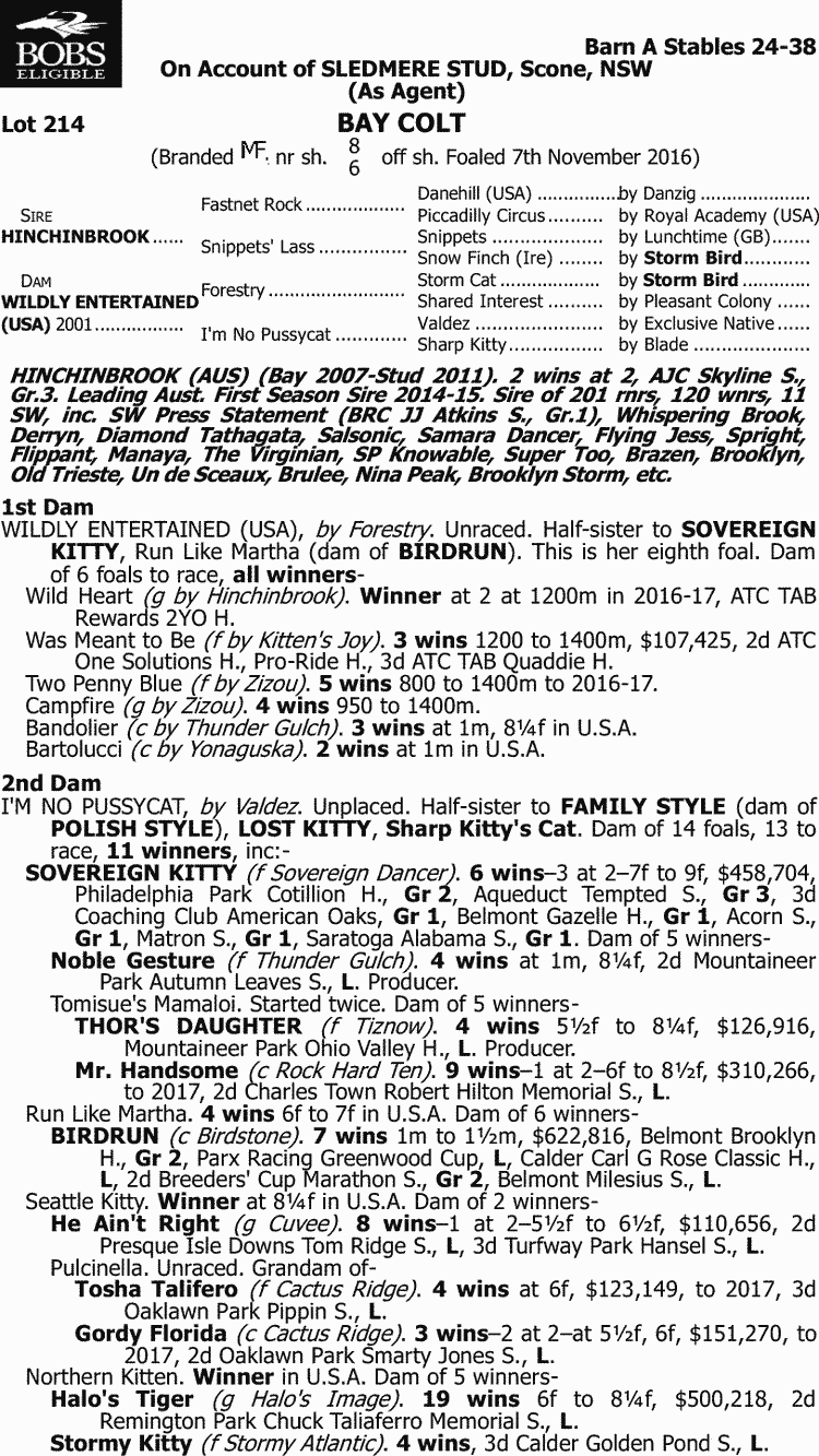 From The Navy Thoroughbred Horse Profile - Next Race, Form, Stats, News ...