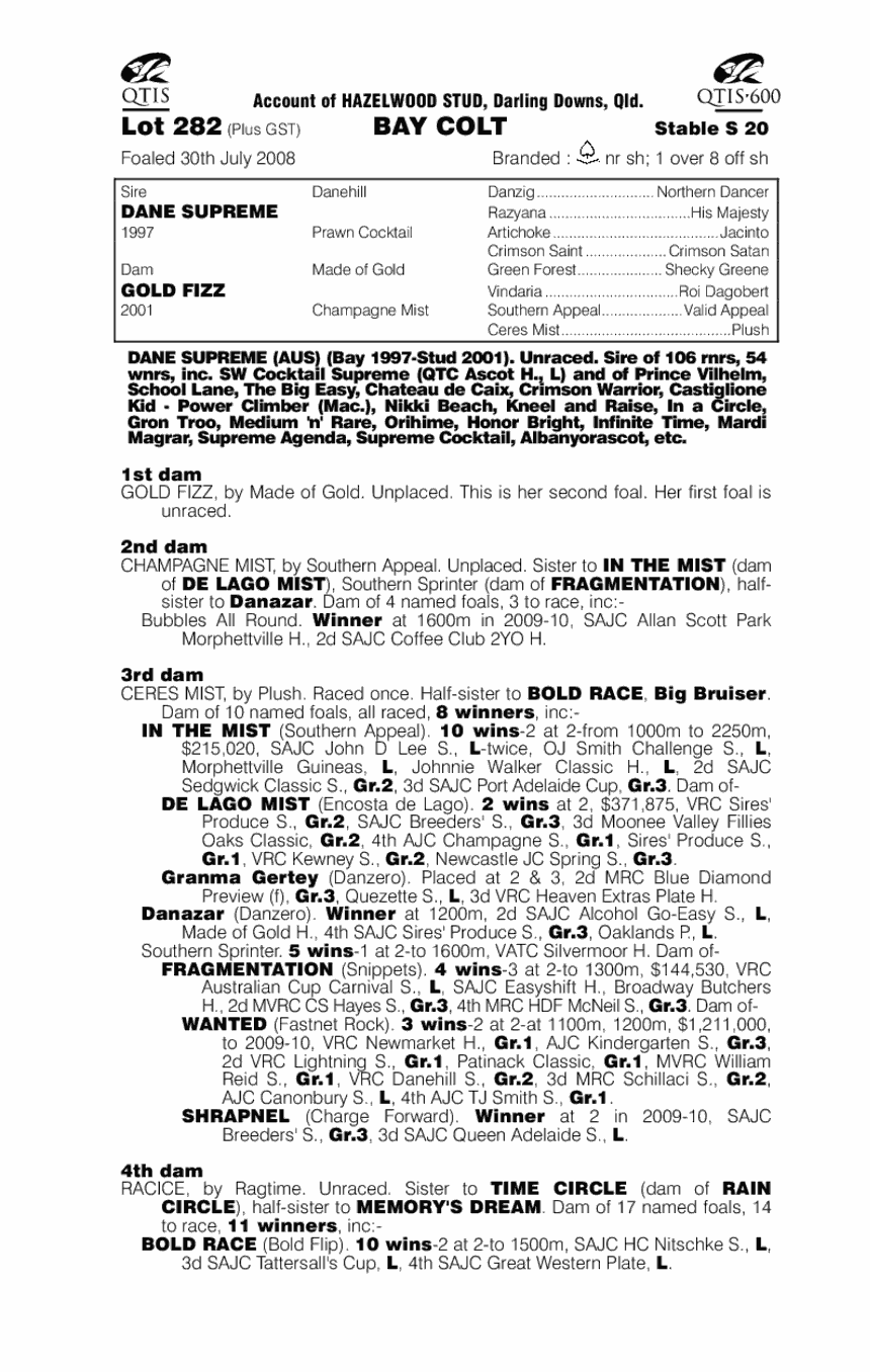 Ted The Bear Thoroughbred Horse Profile - Next Race, Form, Stats, News, Breeding | Sky Racing ...