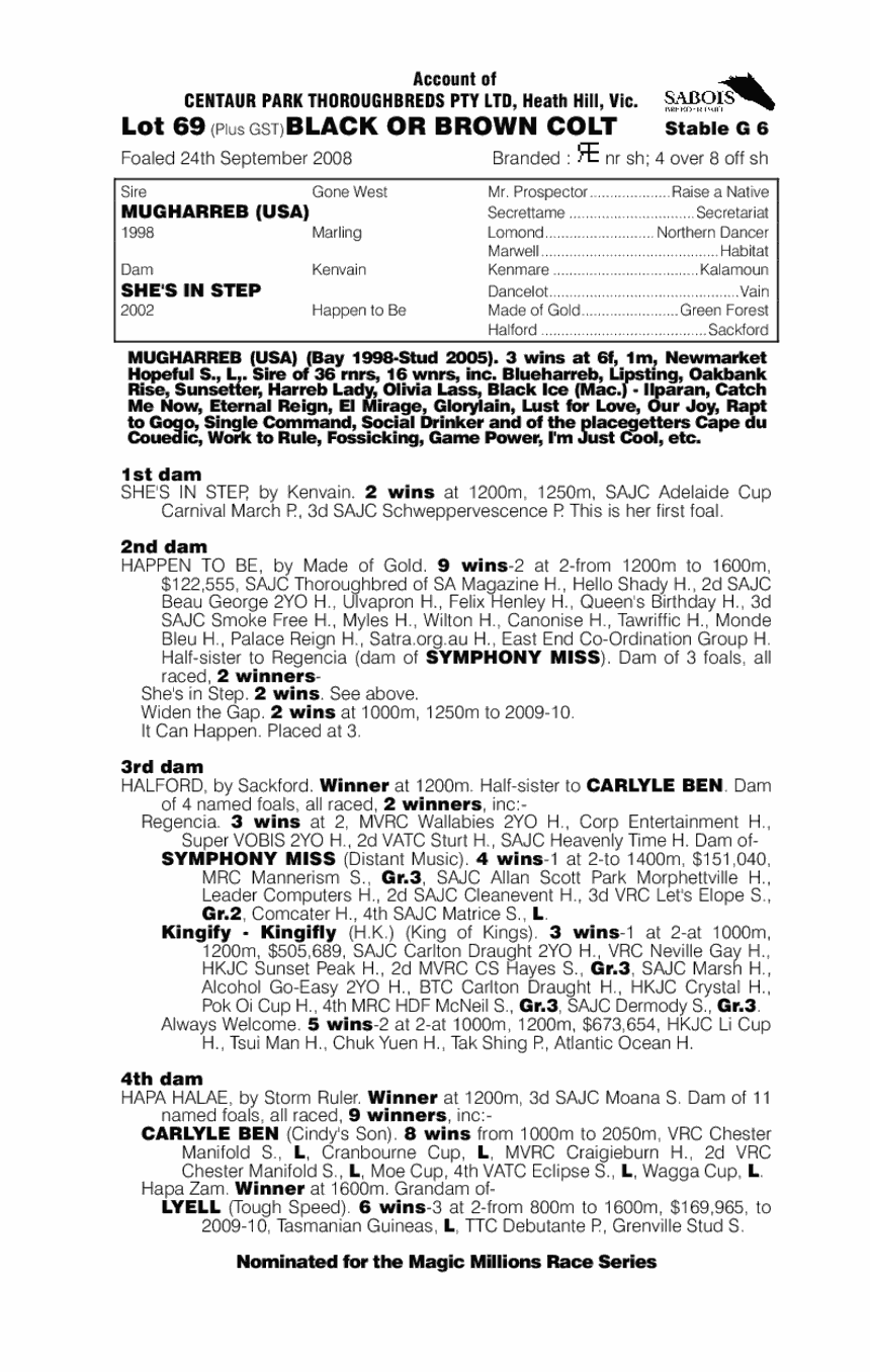 Bugyeong Sinhwa Thoroughbred Horse Profile - Next Race, Form, Stats, News, Breeding | Racing and ...