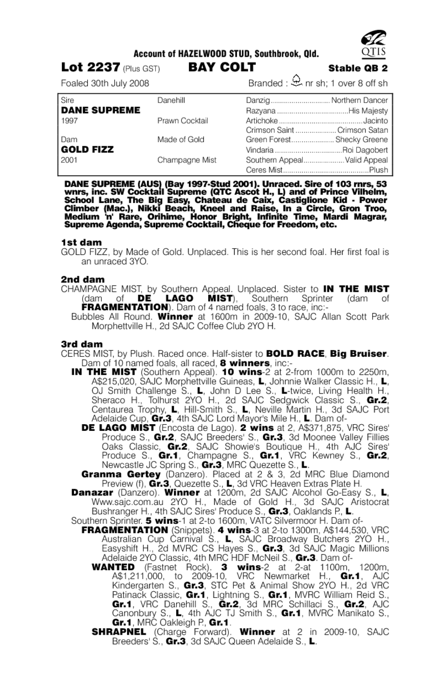 Ted The Bear Thoroughbred Horse Profile - Next Race, Form, Stats, News ...