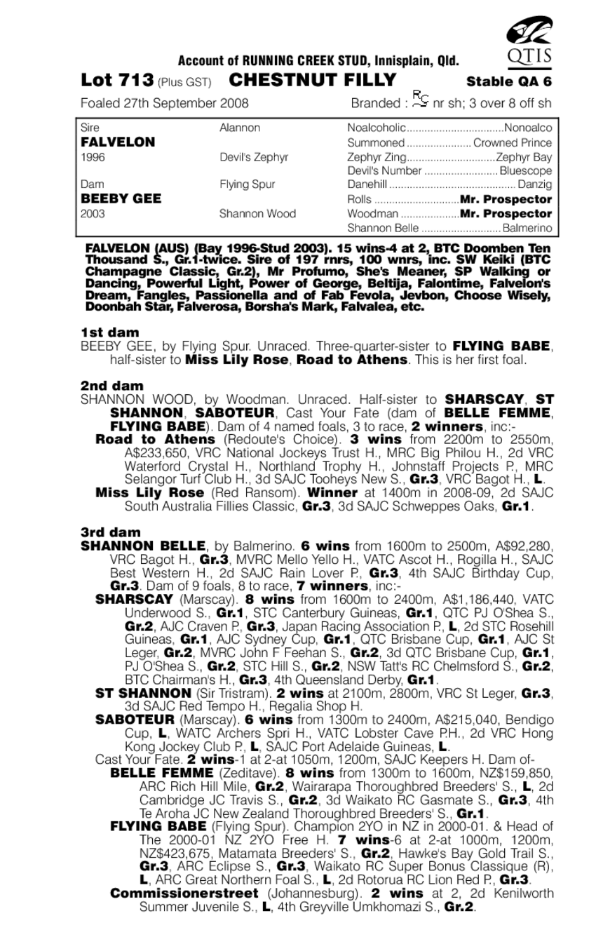 Beeby Gem Thoroughbred Horse Profile - Next Race, Form, Stats, News ...